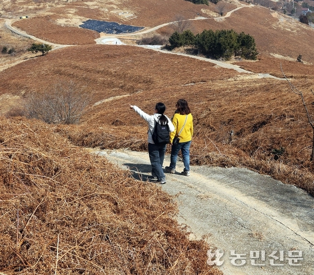봄나들이 걷고 싶은 계절붉은 고사리가 만든 ‘한국의 토스카나로 떠나요