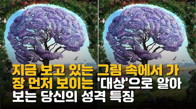 아기랑 고양이 함께 키우면 매일 볼수있는 심쿵 상황 애니멀 플래닛
