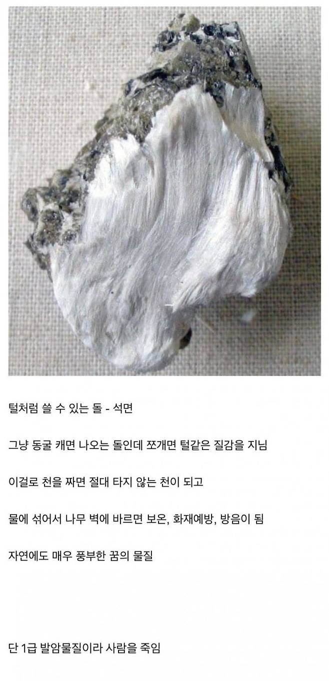 신이 내린 선물인 줄 알았는데 알고 보니 밈하우스