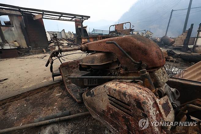 산불로 26명 사망산림피해 역대최악 2000년 동해안 산불 넘어서종합