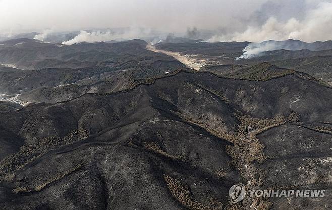 중대본 산불사태로 산림 4만8천㏊ 영향서울 면적 80종합