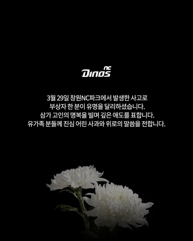 초유의 야구장 관중 사망사고 창원nc파크 안전 진단 앞당긴다 4월 3일→오늘1일 진행한다