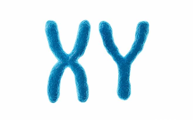 내가 남자라고 생리 안해 병원 간 17세 소녀 충격 진단