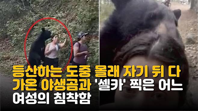 갑자기 서로 머리 맞대고 치열하게 싸우는 새끼 양들의 귀여운 반전 일상 애니멀 플래닛