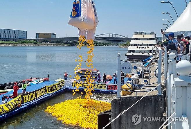 김포서 내달 장난감 오리 레이스4천마리 대결 후끈