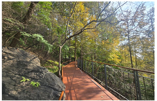 편안한 남산 산책길 열려요···도심~남산 잇는 무장애산책로 ‘남산 하늘숲길’ 25일 개통