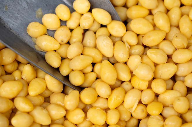 "주부 90%가 몰랐다" 하루 10알만 먹어도 혈관 살린다는 ‘기적의 열매' | 오늘뭐먹지