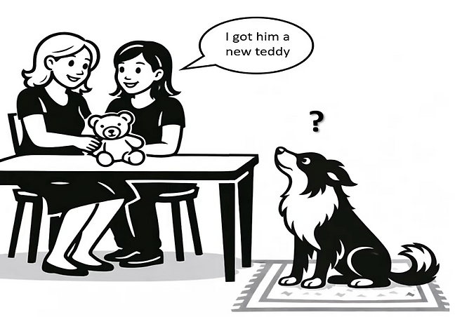 주인 말 엿듣고 학습...개의 놀라운 능력 | 스푸트니크